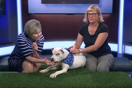 Maria Genero Wiki: Age, Bio, Married, Husband, Family, Net Worth, Salary