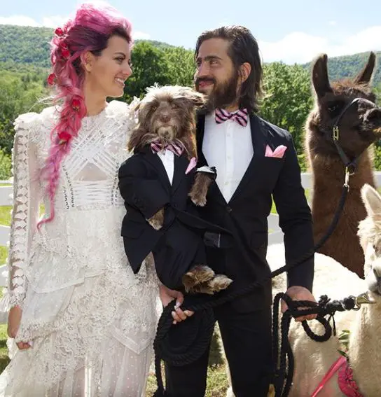 Topher Brophy Wiki, Age, Wife, Girlfriend, Job, Net Worth, Dog